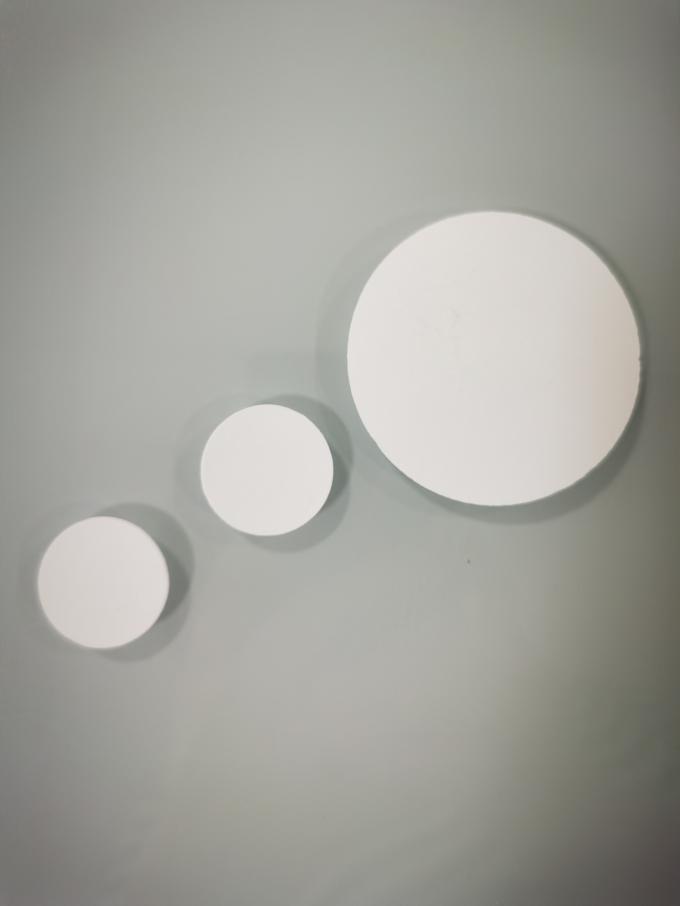 Hydrophilic Microporous Polyethersulfone PES Membrane Disc Filter High ...