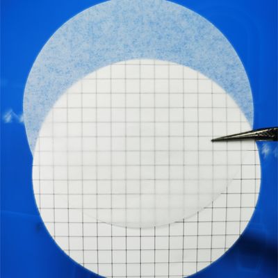 0.45 µm, 37 mm Mixed Cellulose Ester MCE Gridded membrane filter single ...