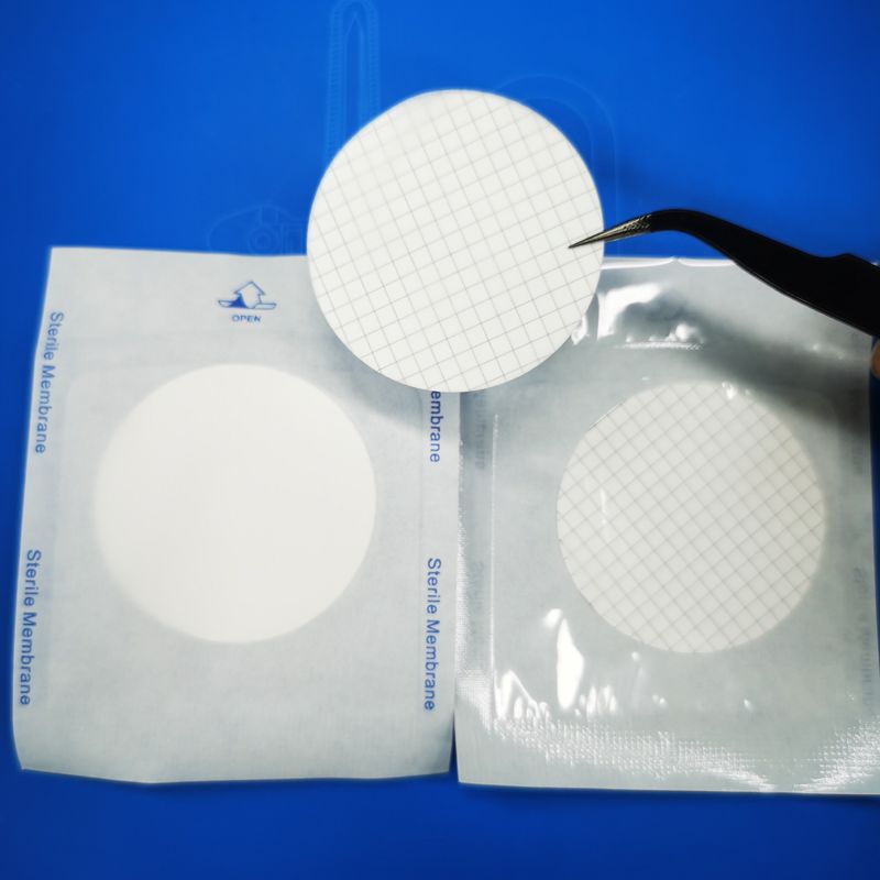 0.45 µm, 37 mm Mixed Cellulose Ester MCE Gridded membrane filter single ...